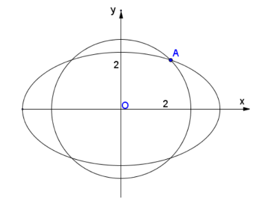 Hình elip là gì ? Xem là hiểu ngay